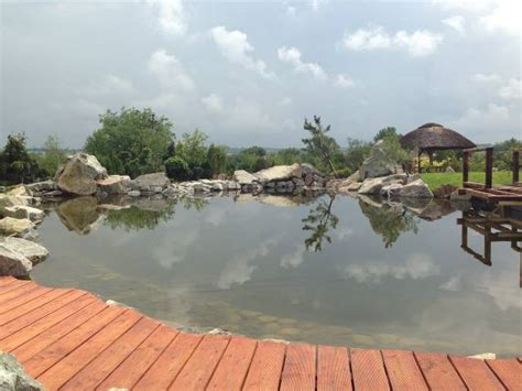 Садовый центр Сакура Братское Днепропетровская обл ціна 2025