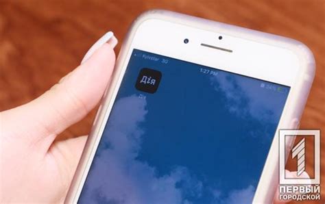 В «Дії можна буде оформити тимчасовий дозвіл на виїзд дитини за кордон Мінцифри Перший міський