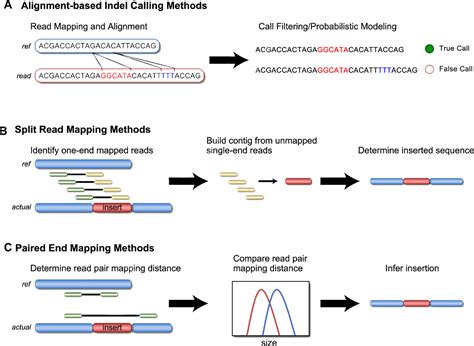 Figure 1 From Detection Of Structural Dna Variation From Next