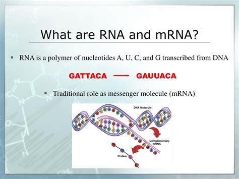 Ppt Rna Secondary Structure Prediction And Runtime Optimization
