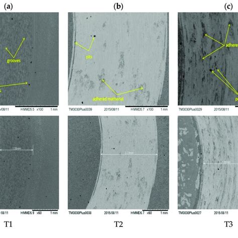 Scanning Electron Microscopy Sem Micrographs Of The Wear Tracks For