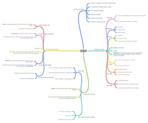 Protists Plantlike Protists Diatoms Unicellular Glasslike Cell Walls …