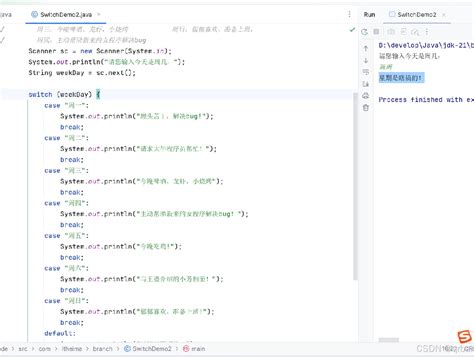 If分支结构 Switch分支结构 Csdn博客