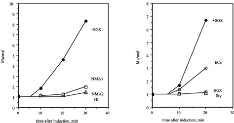 Replication Of Mu And Chimeric Mu Prophages Cultures Of Lysogens Were