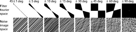Filtered External Noise Stimuli In Fourier And Real Space Download Scientific Diagram