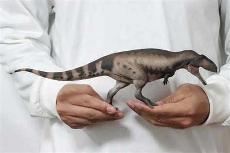 Carcharodontosaurus Vs Mapusaurus