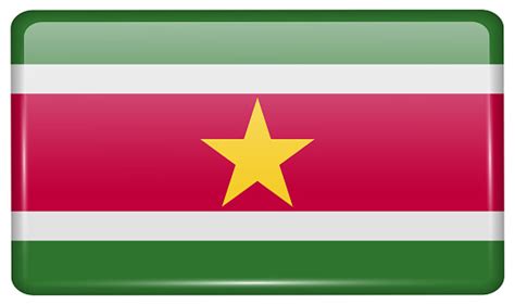 반사 빛으로 냉장고에 자석의 형태로 Suridame 플래그입니다 벡터 0명에 대한 스톡 벡터 아트 및 기타 이미지 0명 남쪽 독립 Istock