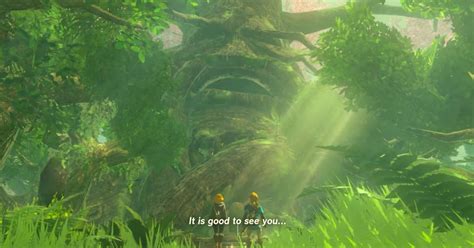 Zelda Tears Of The Kingdom How To Cure The Great Deku Tree Video Games On Sports Illustrated