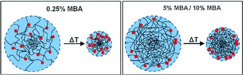 Diagram Illustrating The Effects Of Cross Linker Concentration On The Download Scientific