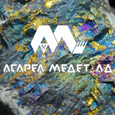 Асарел Медет АД Изпълнителният директор на Facebook