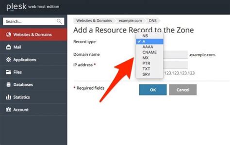How To Add A Custom DNS Record In Plesk Control Panel