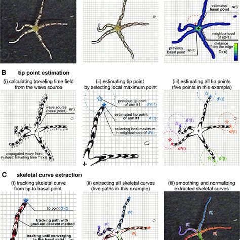 Detailed Description Of The Algorithm The Algorithm Has Three Steps Download Scientific