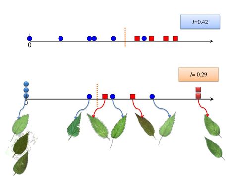 ppt time series shapelets a new primitive for data mining powerpoint