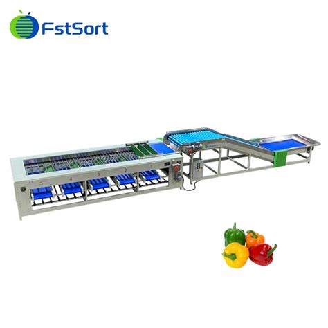 Bell Pepper Capsicum Chilli Green Pepper Hot Pepper Vegetable Sorting Grading Machine Pepper