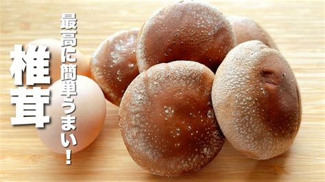 【しいたけの簡単レシピ】卵と炒めるだけ！やみつき Youtube