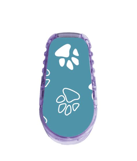 Expressionmed Paw Print Dexcom G6 Sticker
