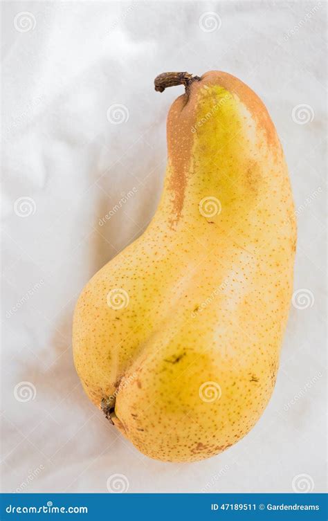 Erotic Pear Stock Image Image Of Fresh Cloth Fetel 47189511
