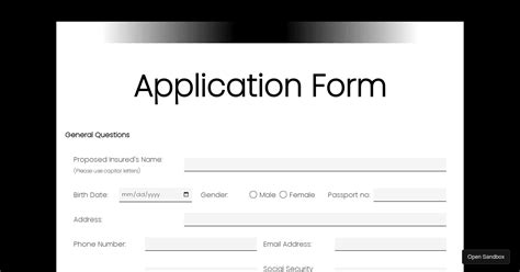 Application Form Practice Codesandbox