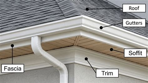 What Is Fascia On A House Enthralling Gumption