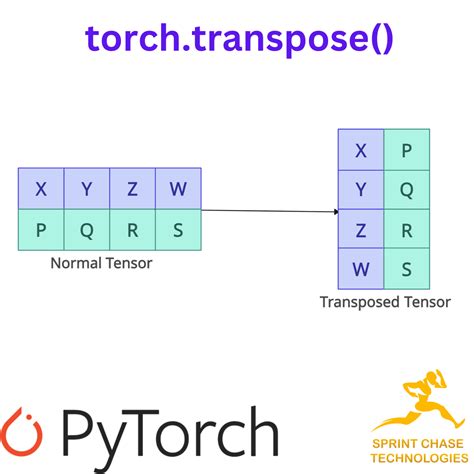 torch transpose swapping any two dimensions of a tensor
