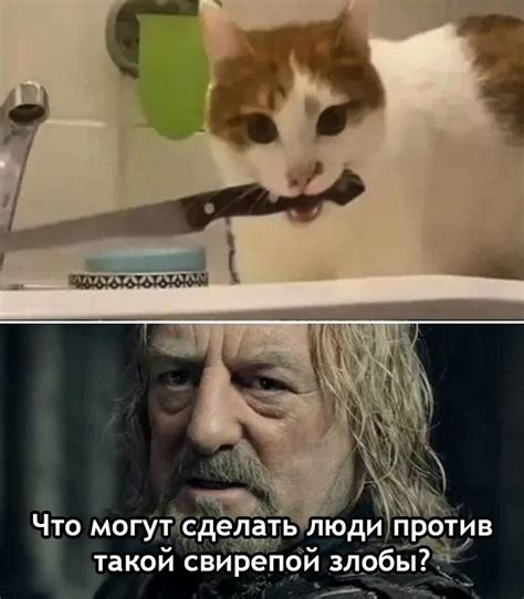 нож :: атака :: котэ (прикольные картинки с кошками) / смешные картинки ...