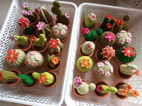 Cacti Crates In 2024 Craft Time Cactus Cactus Flowers
