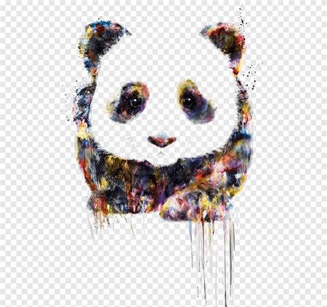 팬더 그림 자이언트 팬더 곰 귀여움 그리기 너구리 팬더 수채화 그림 동물 png PNGEgg