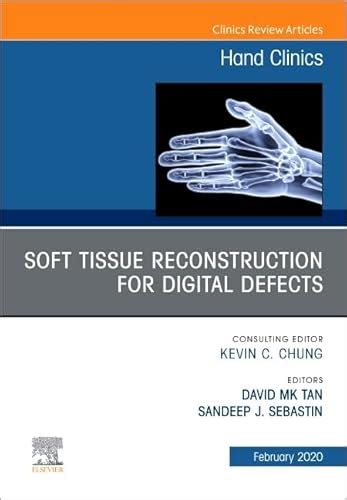 Soft Tissue Reconstruction For Digital Defects An Issue Of Hand Clinics Volume 36 1 The