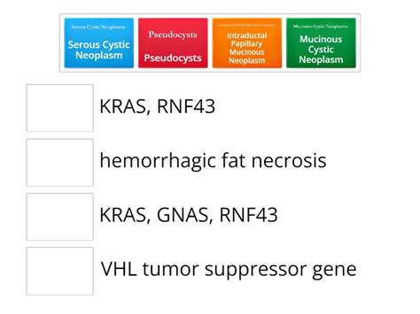 Pancreatic Cysts And Pseudocysts Match Up