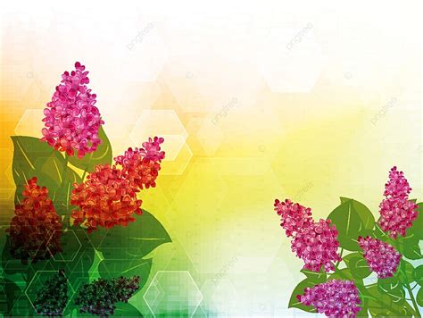 Abstract Floral Background Vector Illustration Background Artwork Image Background Image For