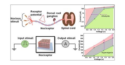 Flexible Organic Inorganic Halide Perovskite Based Diffusive Memristor For Artificial