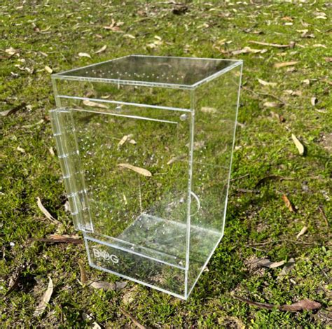 The BIG Bug Box With Basic Mantis Kit Bug Frenzy