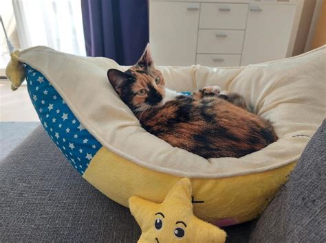 Mission Dit Is Lieve Sophie 🥰 Sophie Is Een Hele Lieve En Mooie