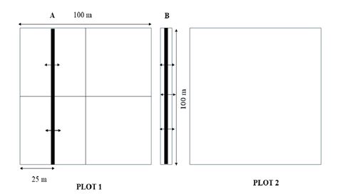 The Illustration Of Sampling Plot Arrangements Plot A Was Used For