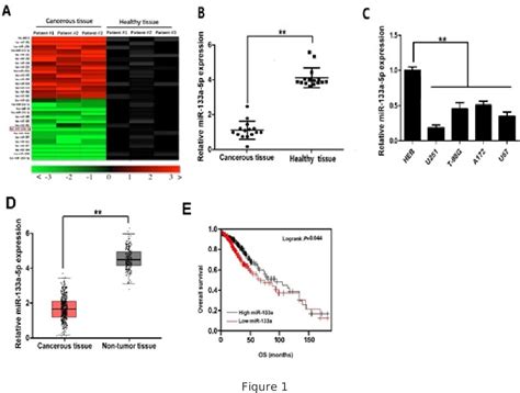 Figure 1 From Dna Methylation Regulates Glioma Cell Cycle Through Down