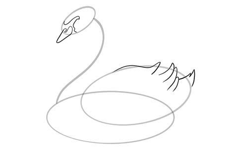 How To Draw A Swan A Tutorial On How To Draw A Realistic Swan Swan Drawing Swans Art Drawing