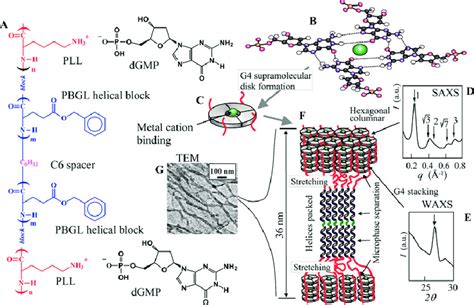 Hierarchically Self Assembled Constructs For Nanofiber Formation 48