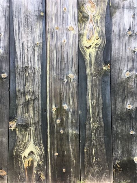 Body Archives Living With Scleroderma