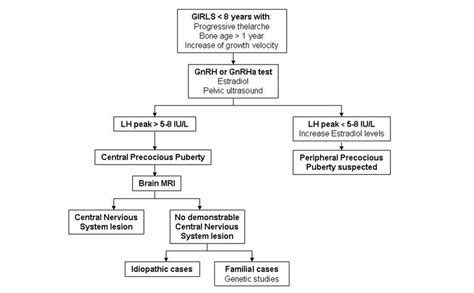 Imaging Algorithm For Precocious Puberty Download Sci