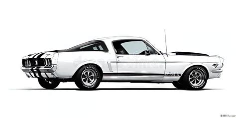 Timeless Lineart Ford Mustang Shelby Gt350 1965 Stock Illustration