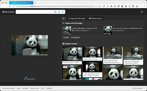 无需魔法，新版 new bing 使用方法全攻略！ bing 石南跨境物流导航