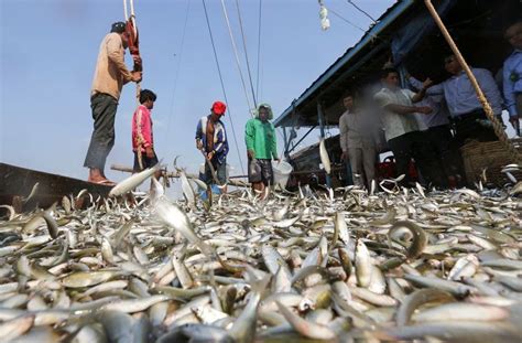 រដ្ឋបាលជលផល ប្រាប់ទីតាំងដែលប្រជាពលរដ្ឋអាចមកទិញត្រី ដើម្បីធ្វើប្រហុក