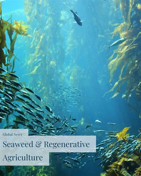 F B Tech Magazine On Linkedin Fbtechnz Foodandbeveragetechnologymagazine Foodtechnolognz…