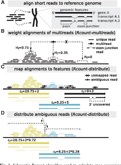 Pdf] Rcount Simple And Flexible Rna Seq Read Counting 53 Off