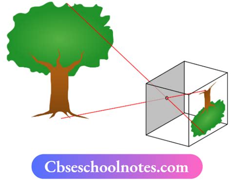 CBSE Notes For Class Science Chapter Light Shadows And Reflections CBSE School Notes