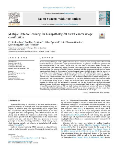 Pdf Multiple Instance Learning For Histopathological Breast Cancer