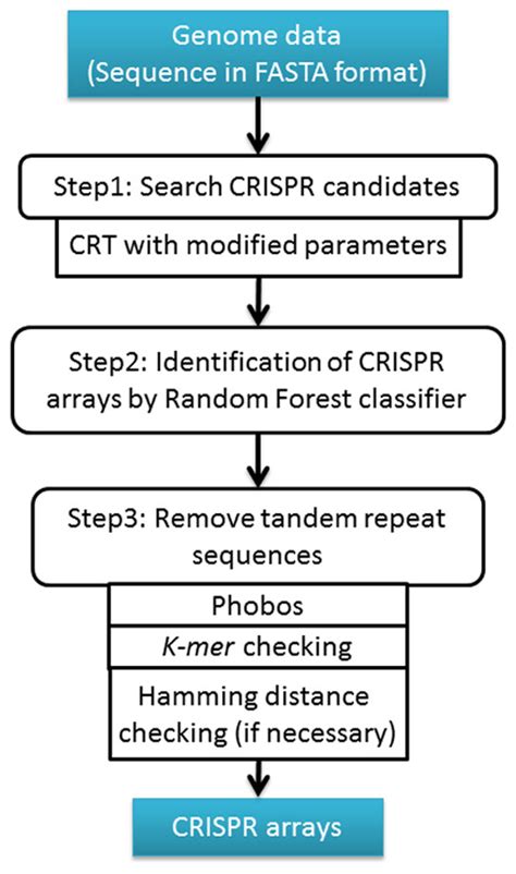 Crf Detection Of Crispr Arrays Using Random Forest Peerj