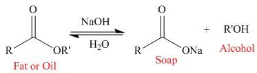 Draw the mechanism for saponification. | Homework.Study.com