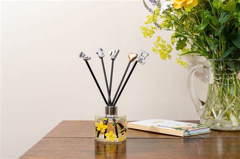 Love Diffuser Decor Reed Diffuser Decoration Set Of Jardinopia Ltd