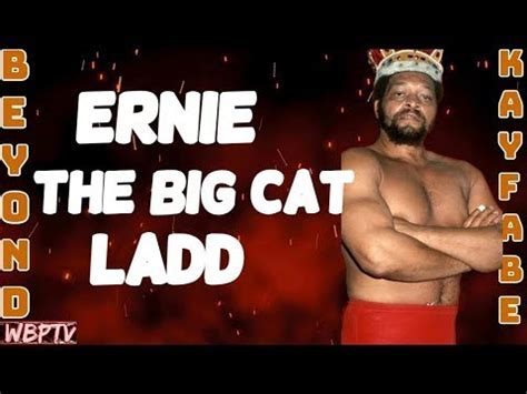 A Python TKinter Interface With An OptionMenu Event That Displays An Image YouTube